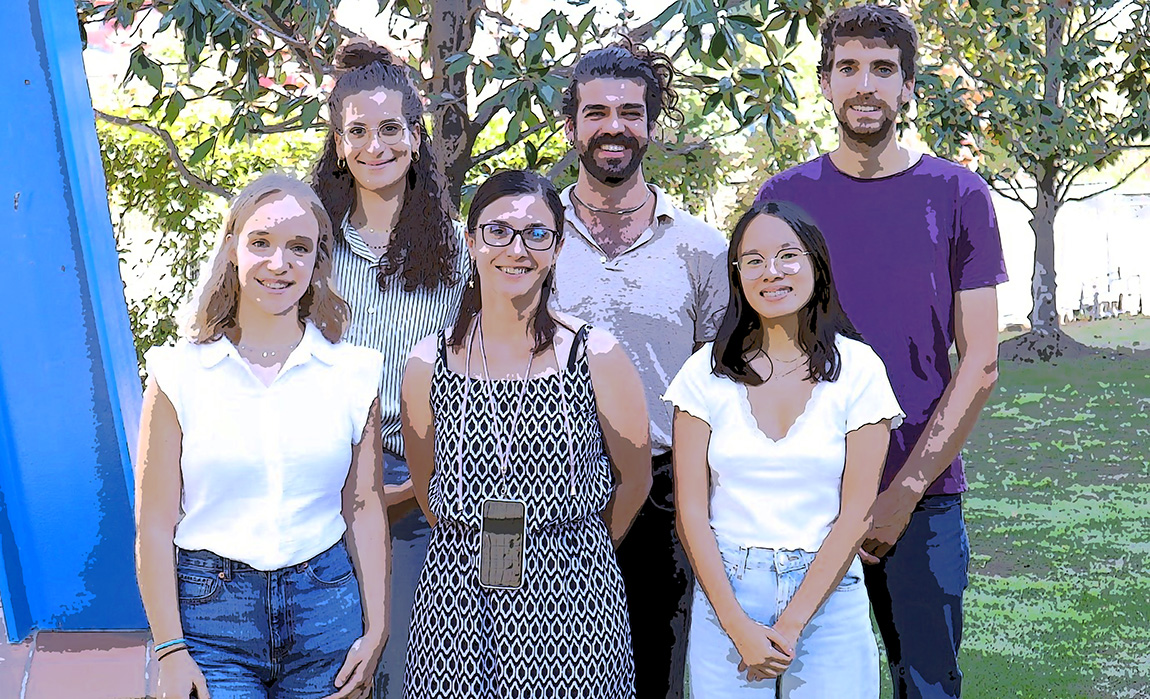 ICMAB - Research Groups